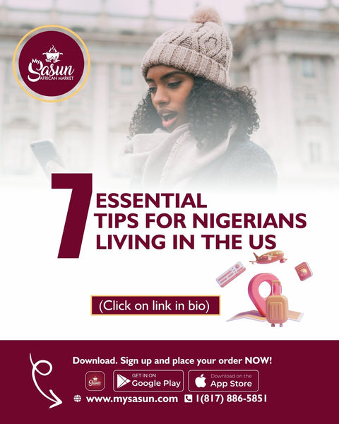 7 Essential Tips for Nigerians Living in the US – My Sasun