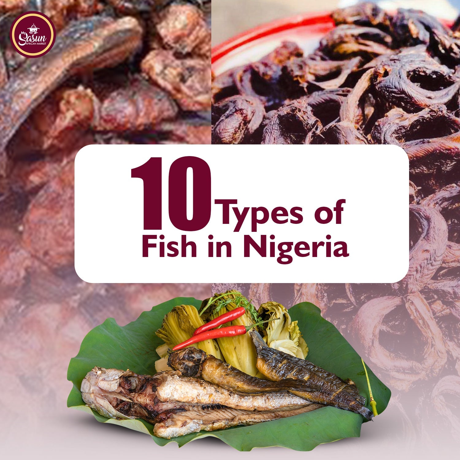 Nigeria's Diverse Fish Varieties - Top 10 Types – My Sasun