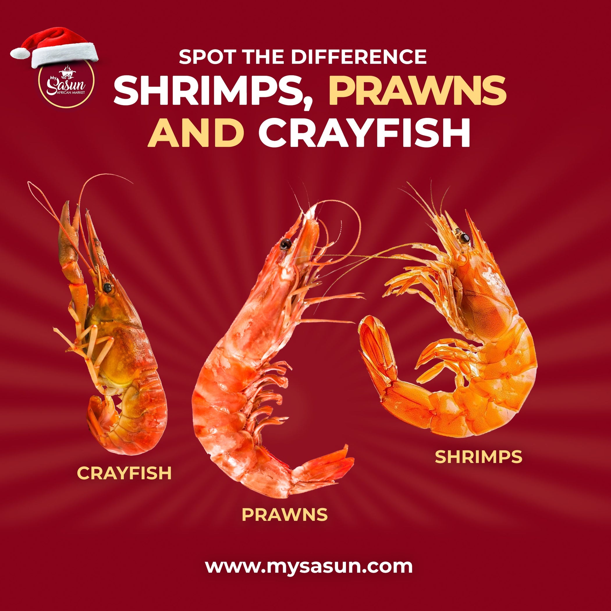 Shrimps, Prawns, and Crayfish: What’s the Real Difference? – My Sasun
